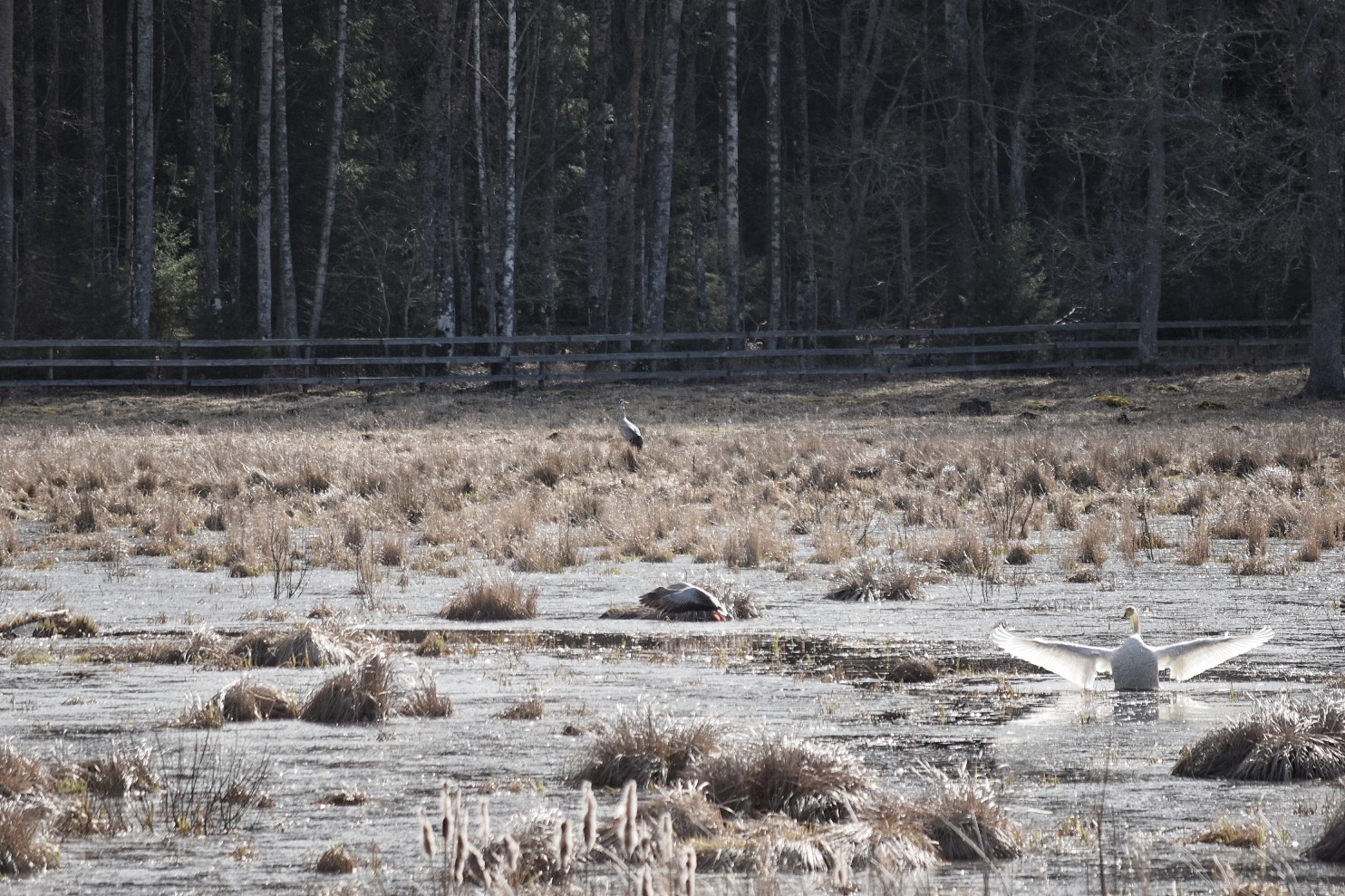 Washed-out colors | Instaology